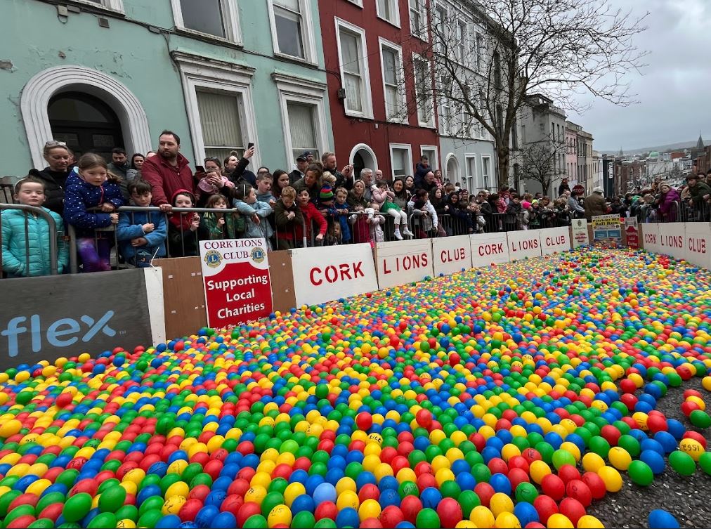 cork lions club: cork charity part of international Lions club District ...